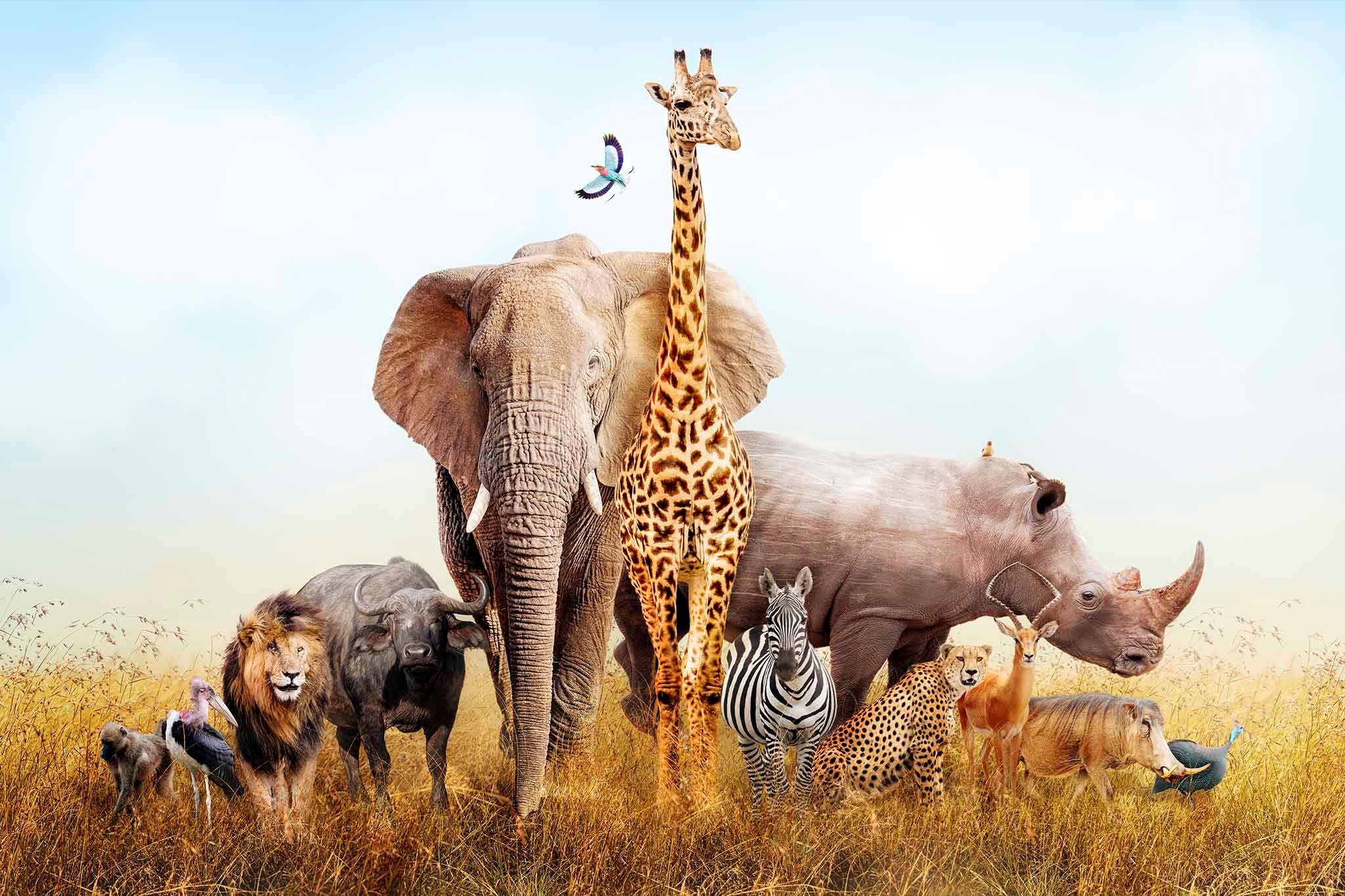 Børnebøger | Et kæmpe udvalg af bøger til børn i alle aldre