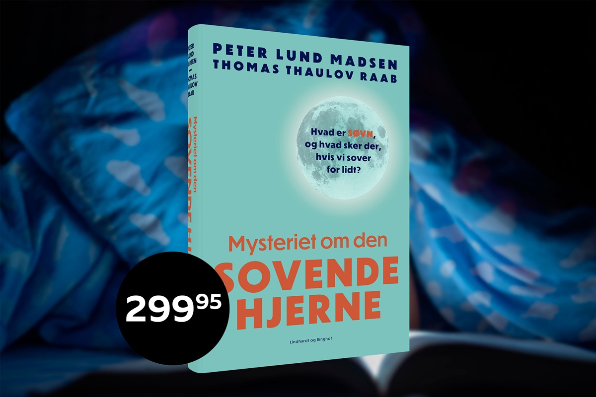 Nye bøger 2025 | Se alle de nye bøger hos Bog & idé | Køb online